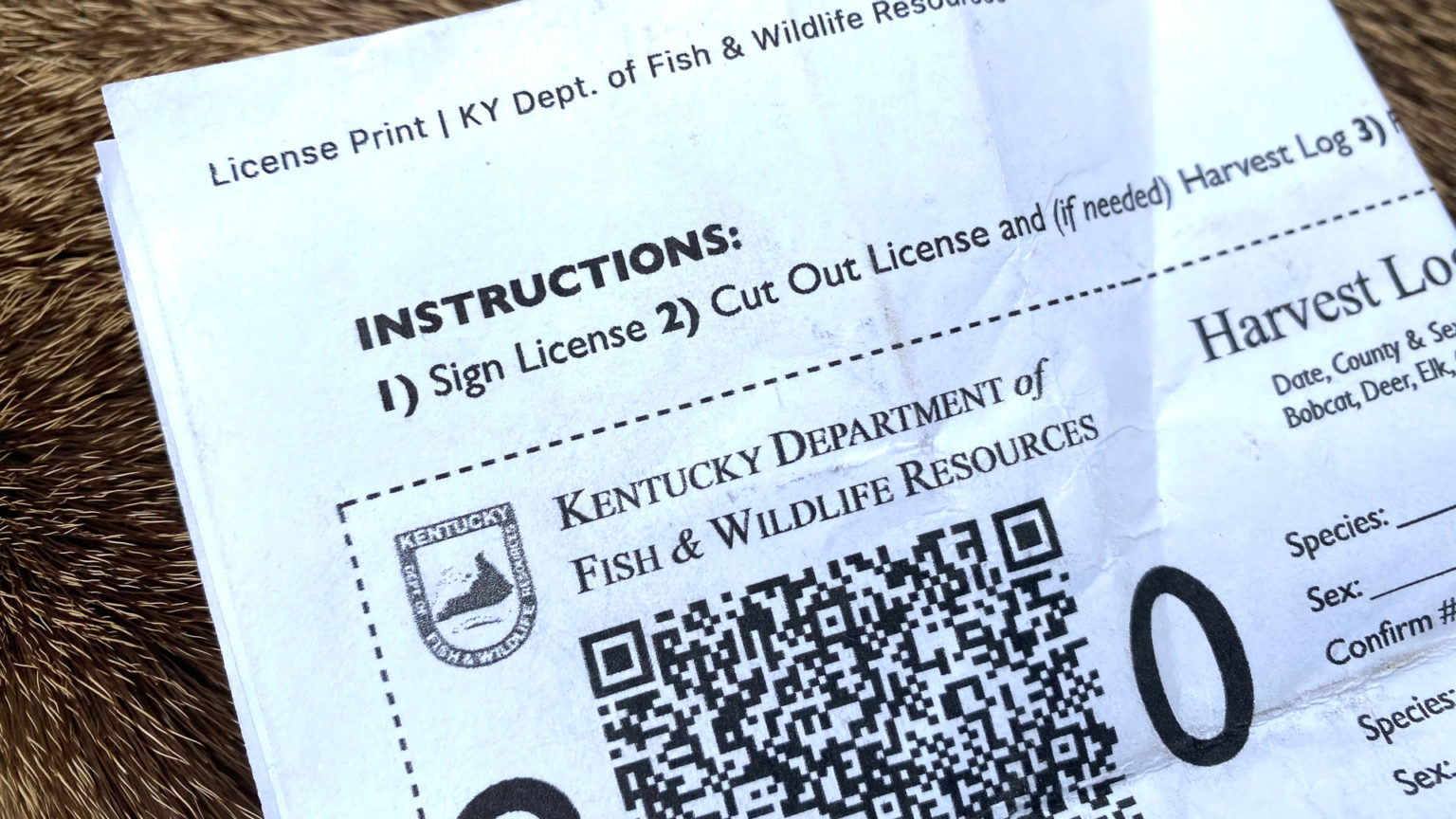 Don't Get Busted! How to Transport Your Deer Across State Lines