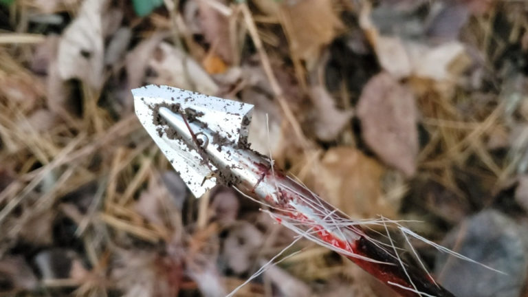 2021 Iron Will Broadheads: Single, Solid, and Deadlier Than Ever