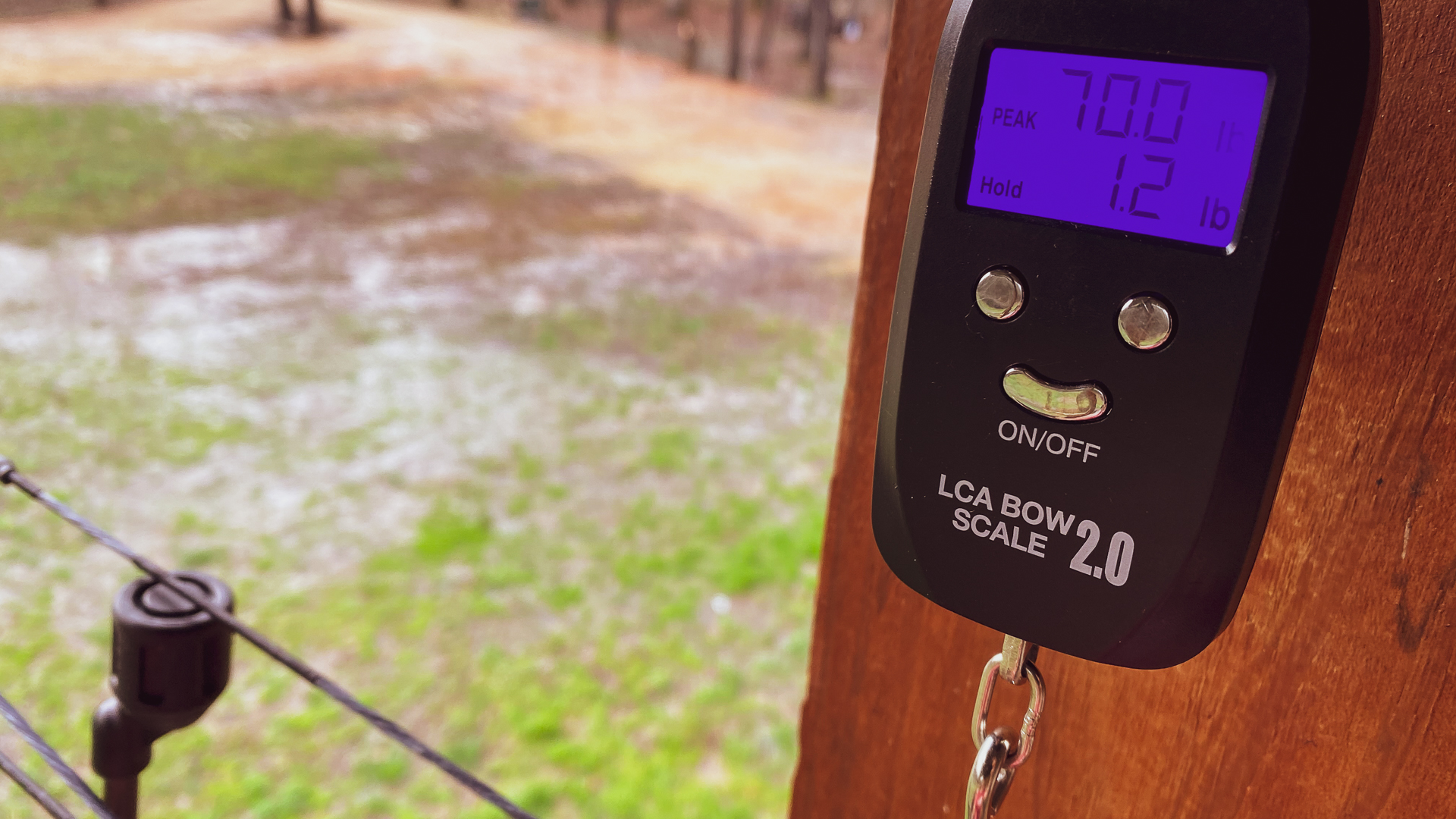 Hoyt Torrex Bow Review