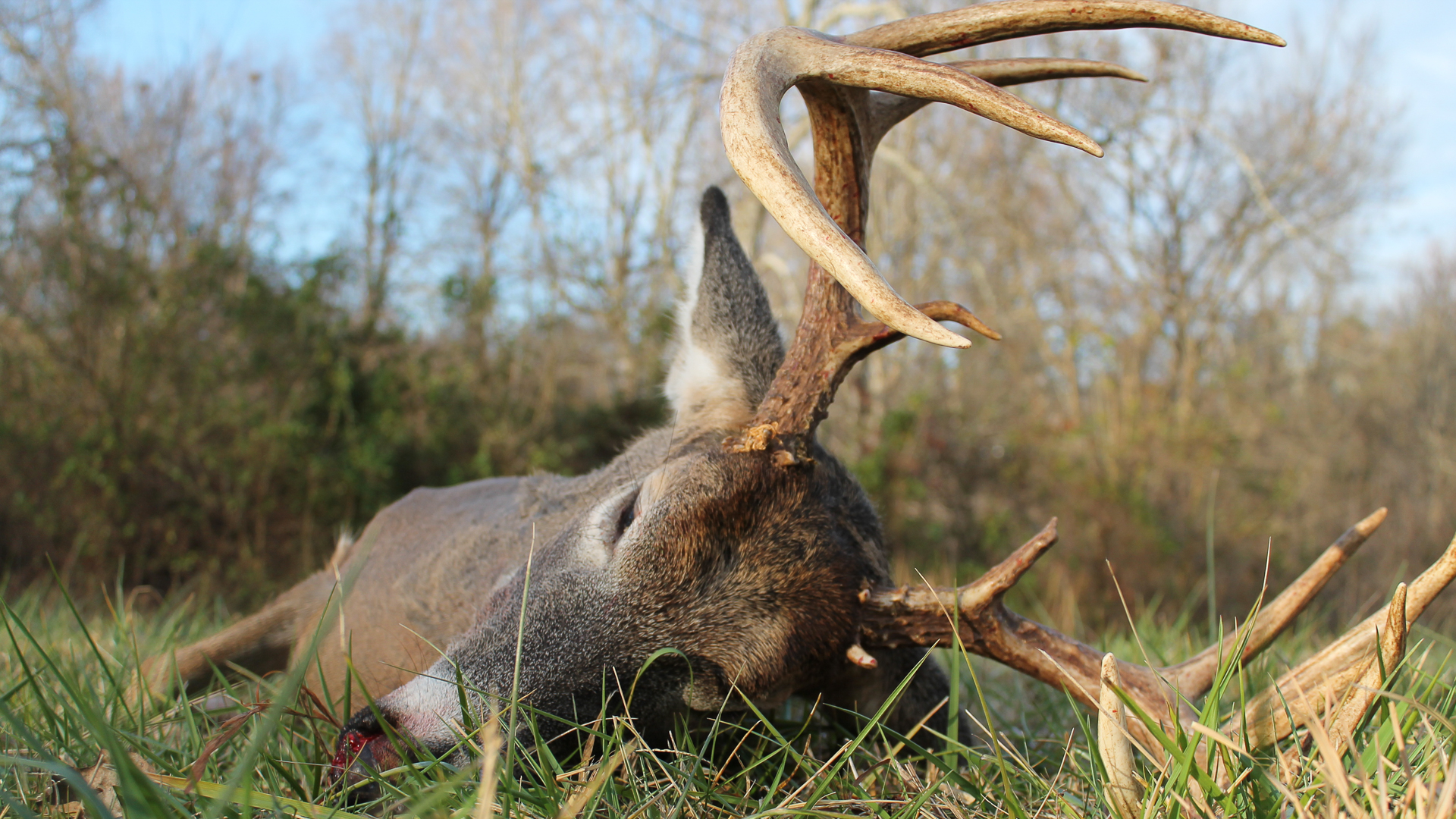 The 2021 Chronic Wasting Disease (CWD) Update