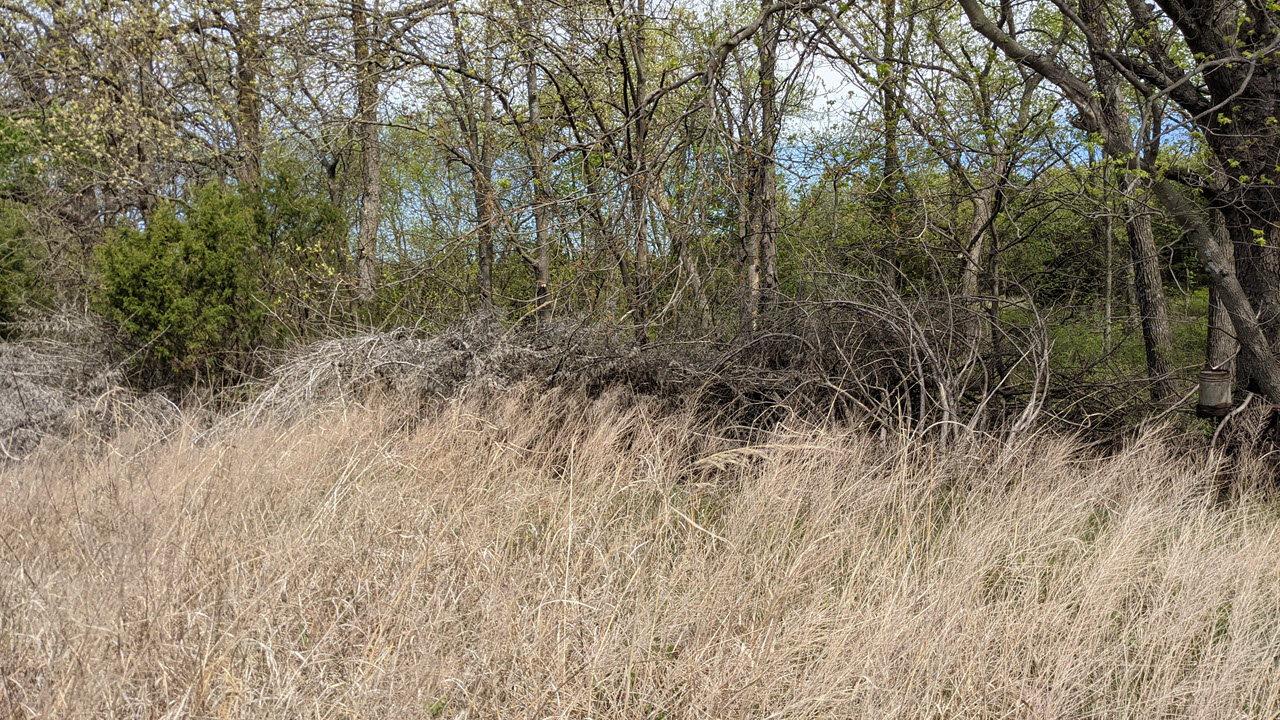 How To Create Structure For Deer Habitat