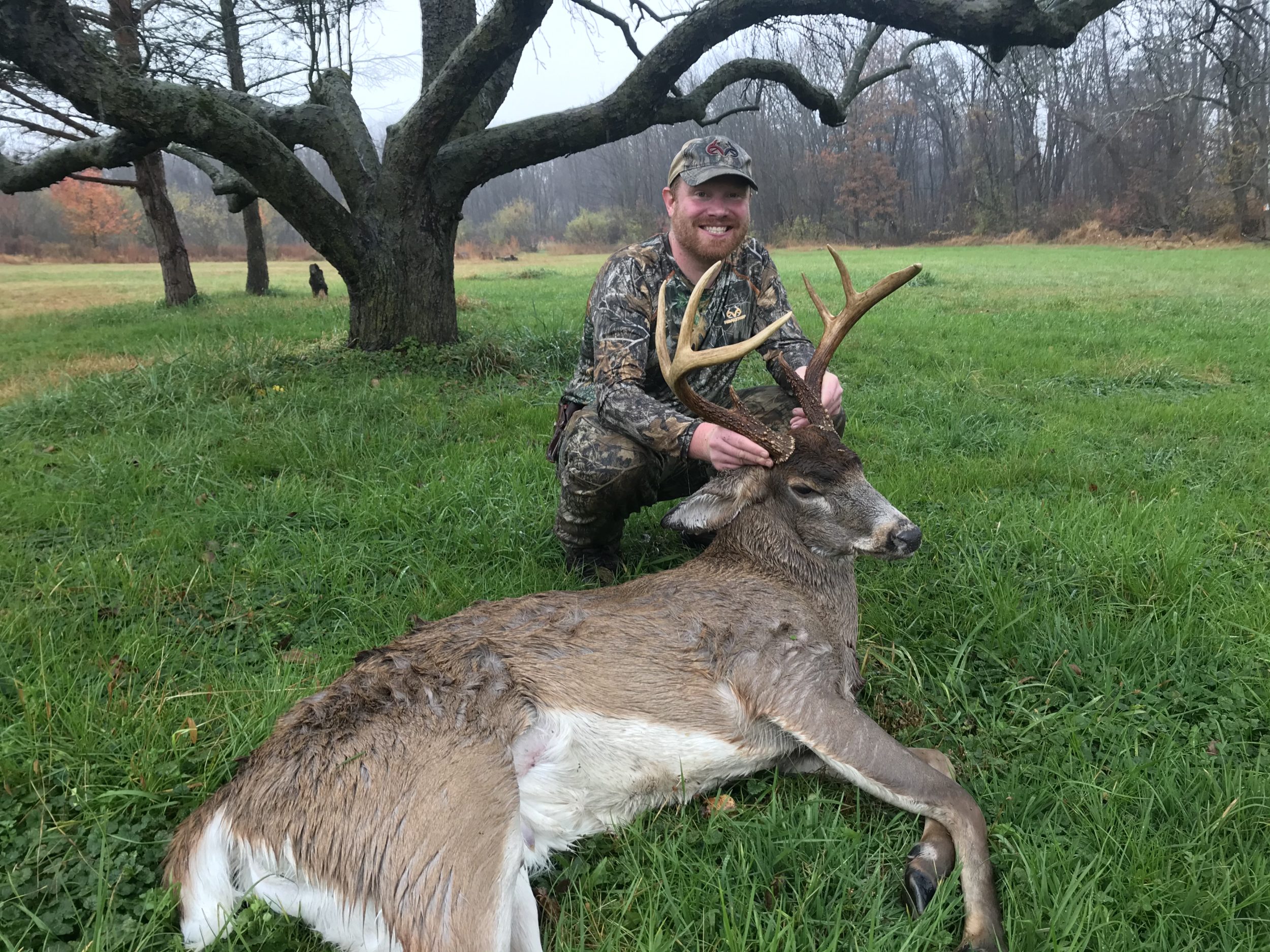 Whitetail in PA by Matt Paxton | Bowhunting.com