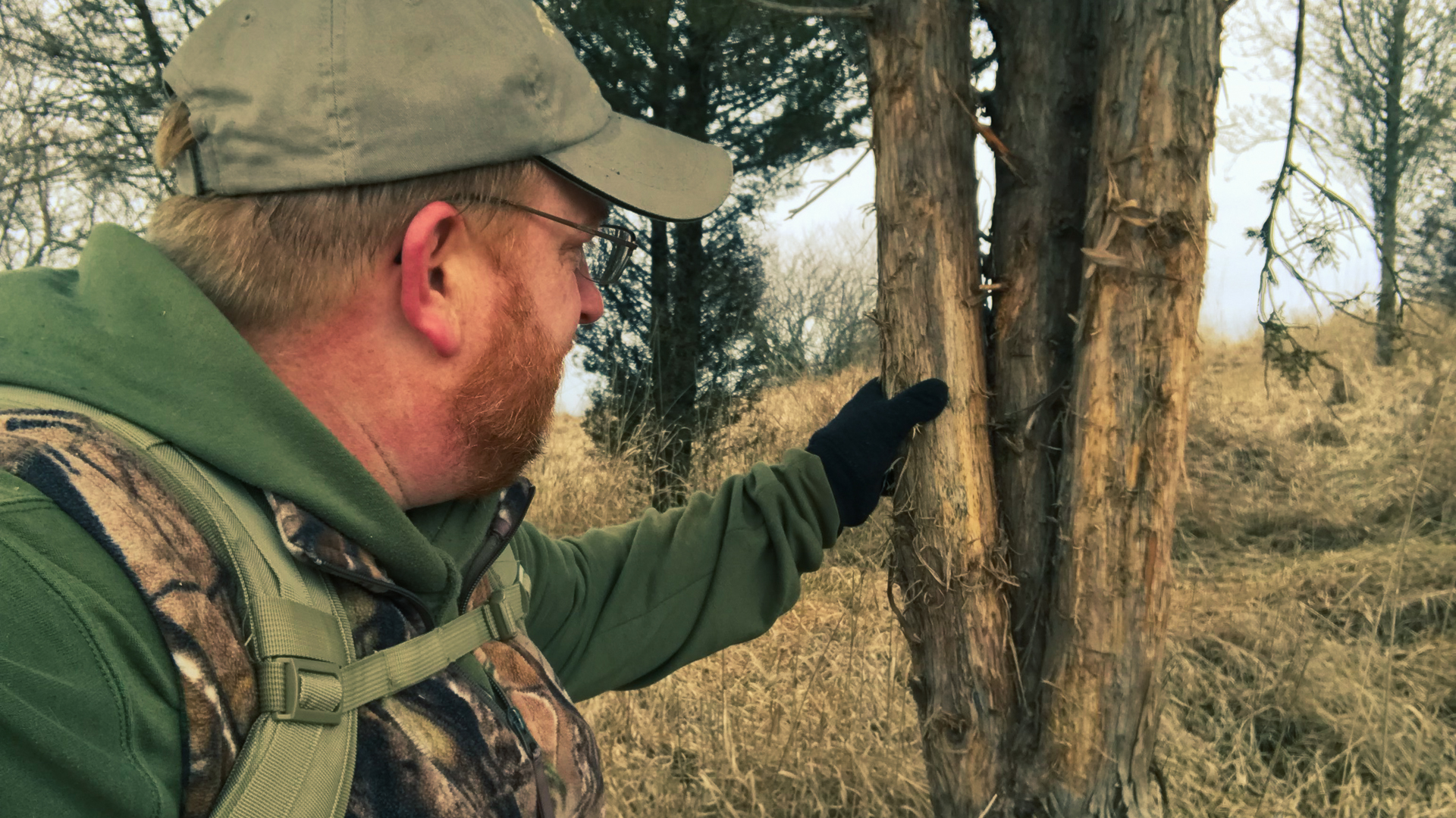 Rubs vs. Scrapes: What's the Difference?