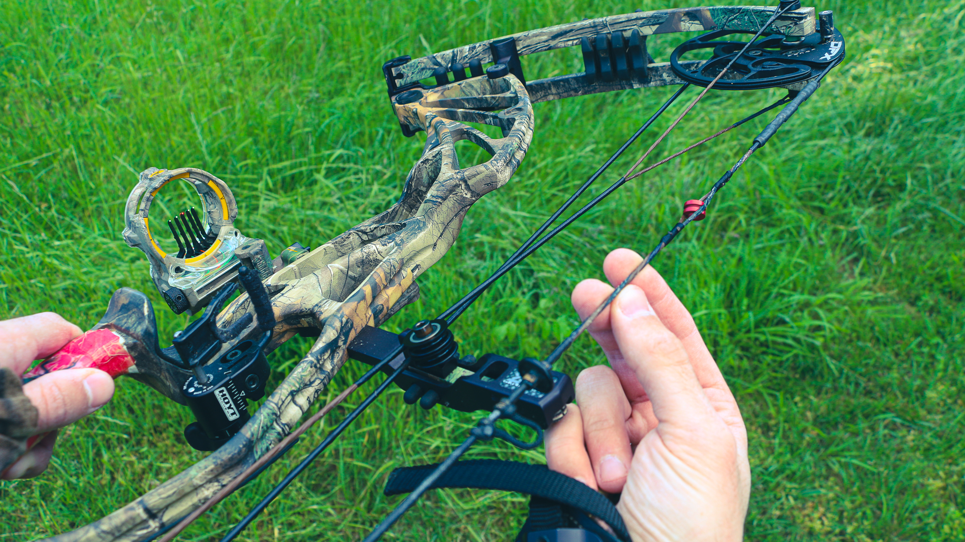 Questions to Ask Before You Buy Your Next Bow