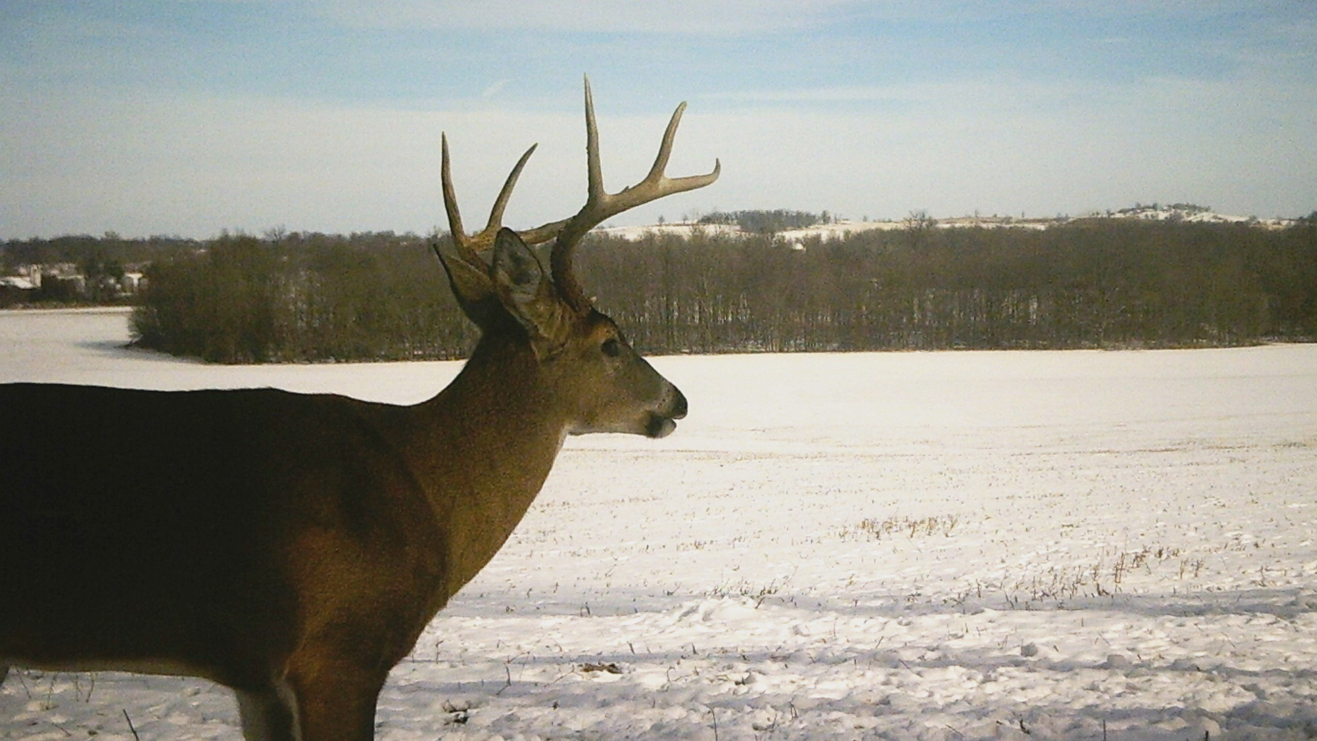 7 Bad Shots Hunters Make and What to do When They Happen