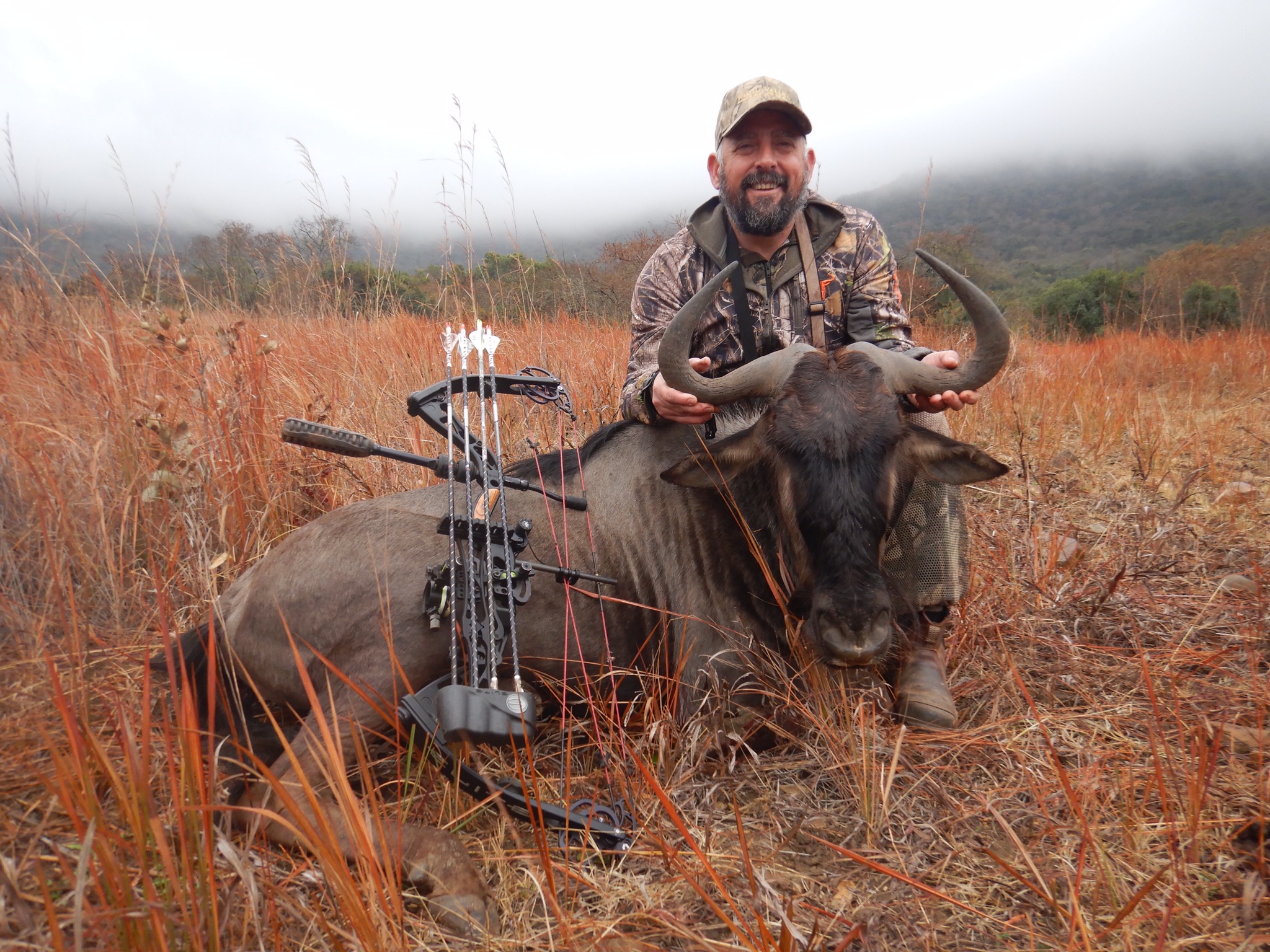 Blue Wildebeast in South Africa by Faure Goedhals | Bowhunting.com