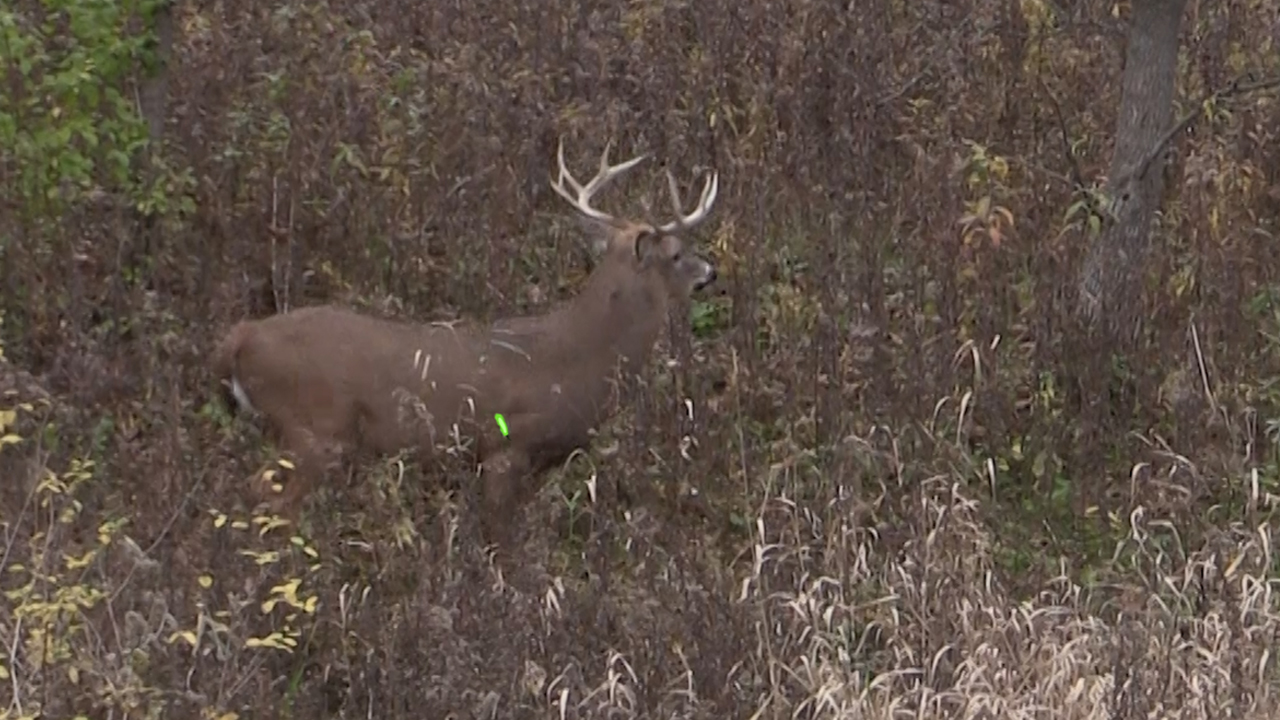 Front Leg | Bowhunting.com