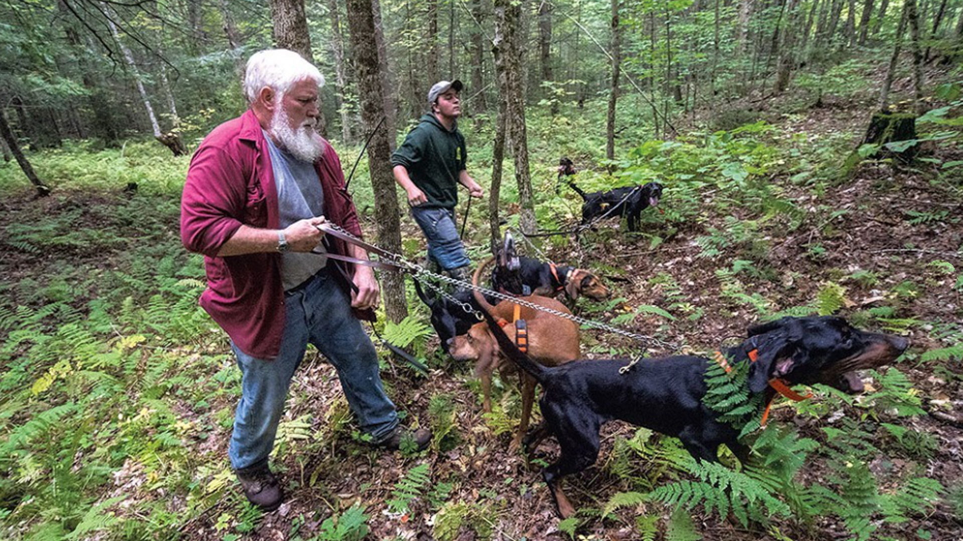 Vermont Woman Assaults Hunters with Bear Spray