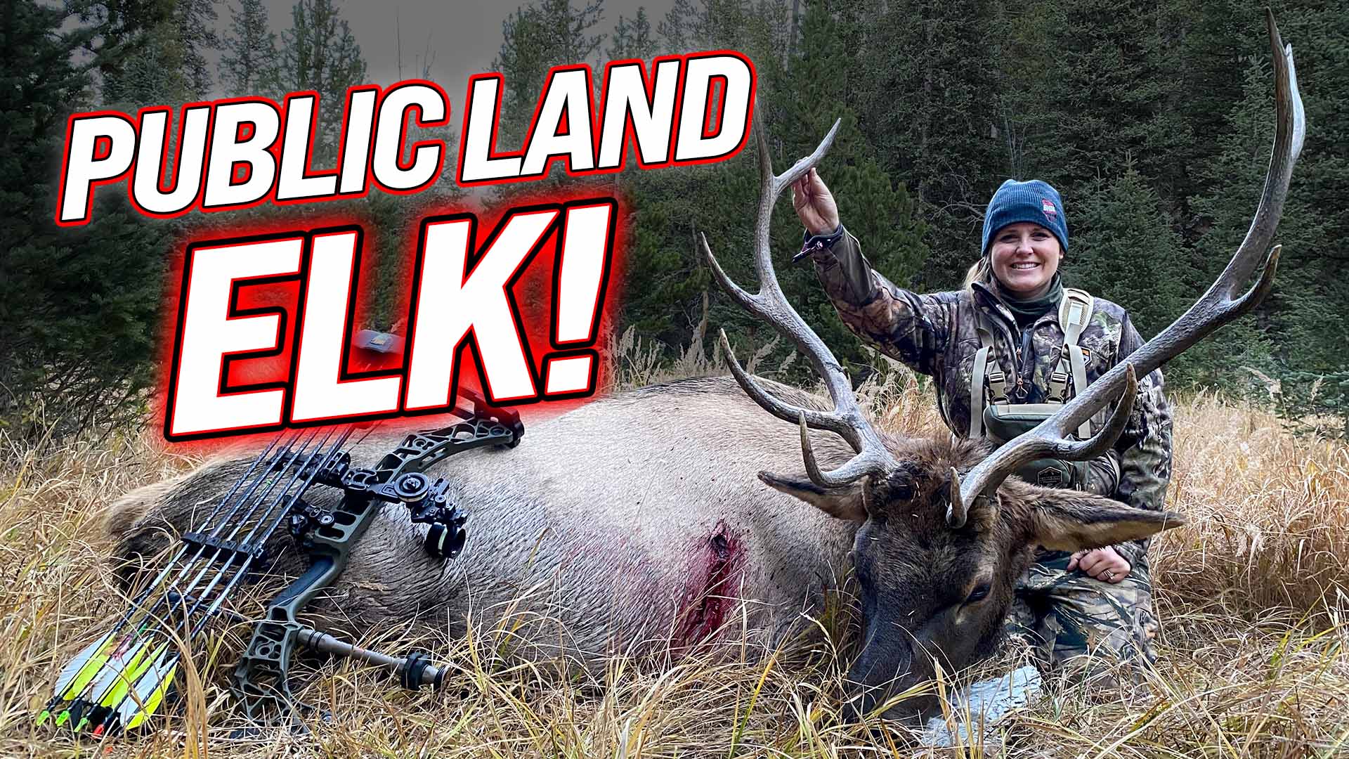 PUBLIC LAND BULL With A Bow! (Exciting Wyoming Elk Hunt!) | Bowhunting.com