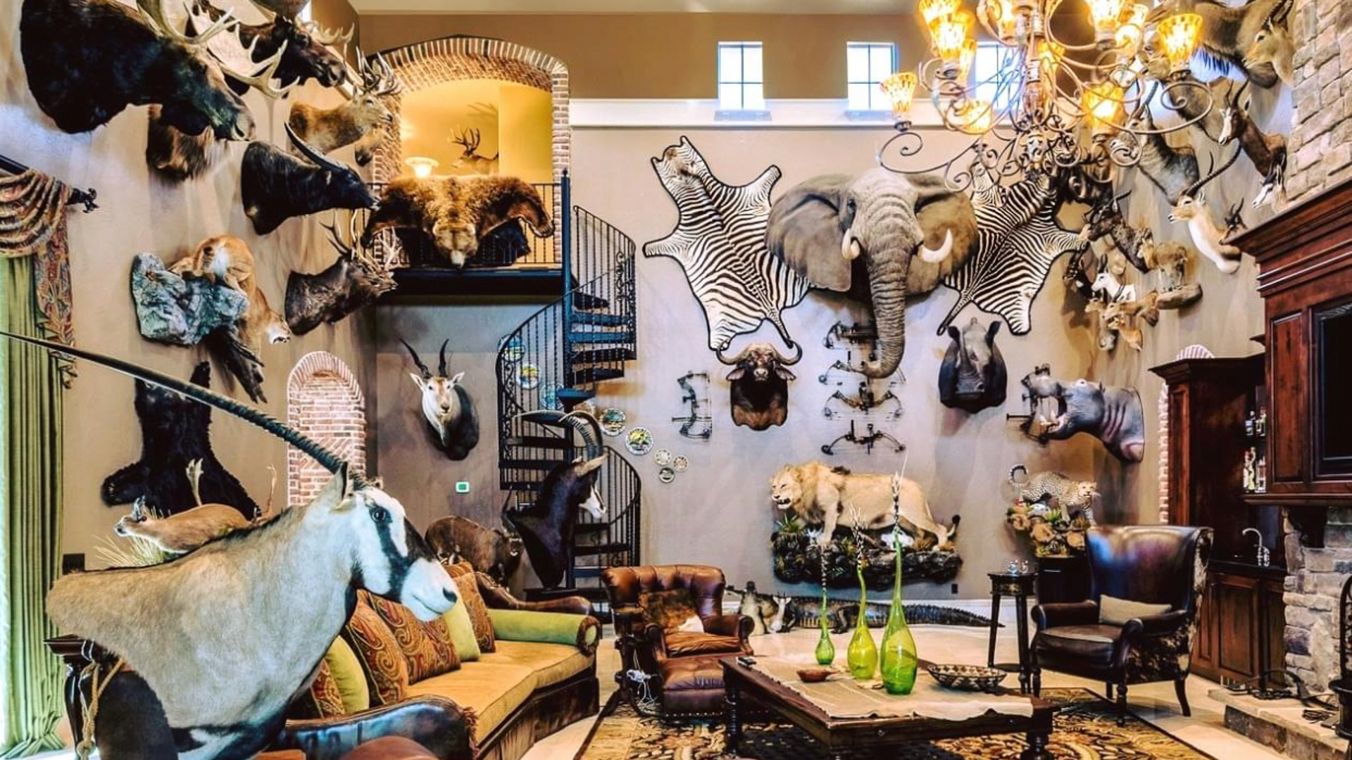 Is Taxidermy Really Worth It?