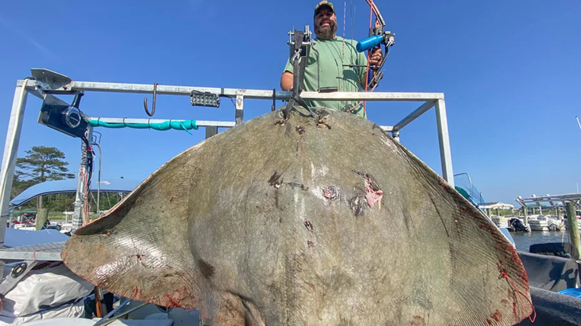 World Record Butterfly Ray Shot with Bow