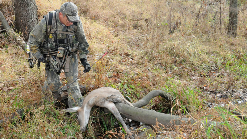 Wisconsin Bowhunters Increasingly Focus on Bucks