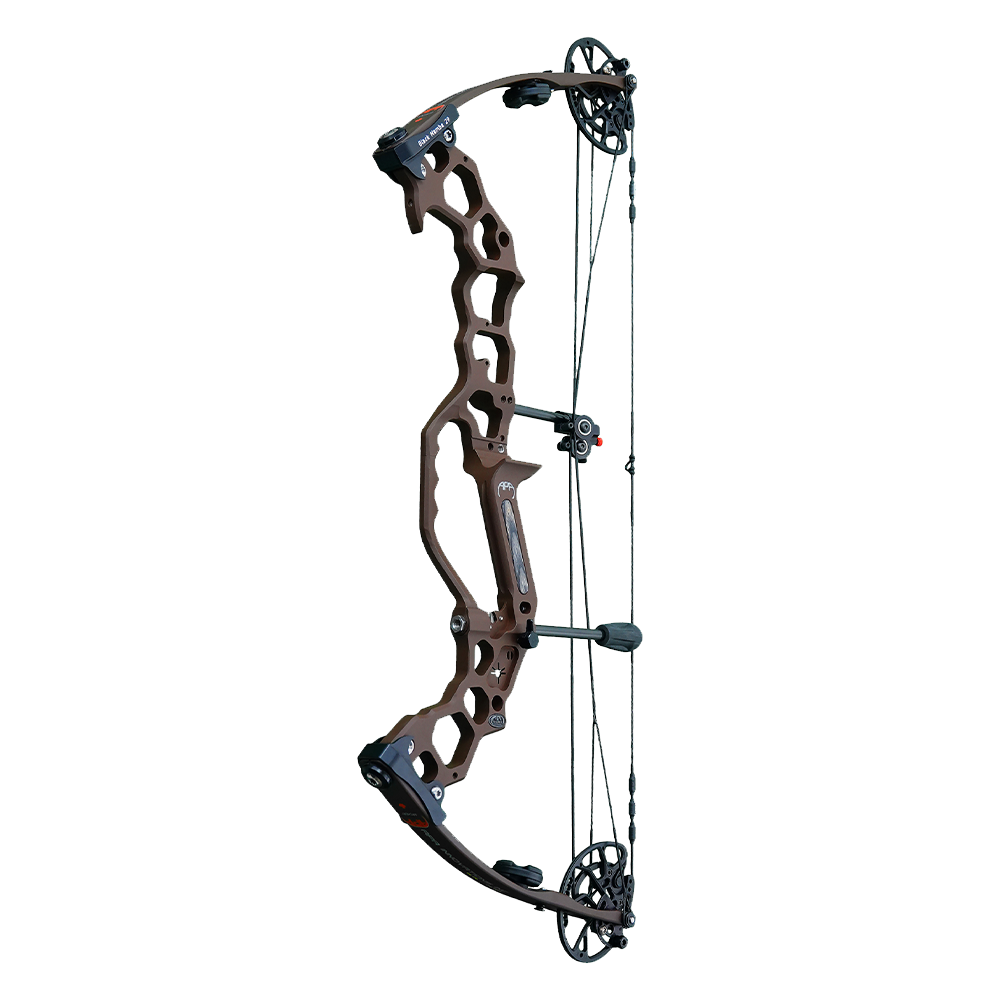 Top New Bows for 2023
