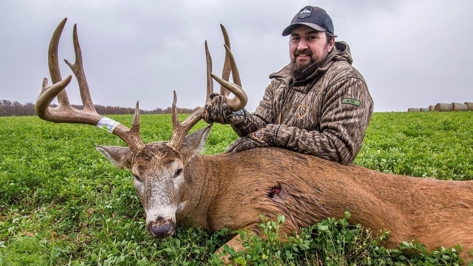Common Myths About Calling Deer
