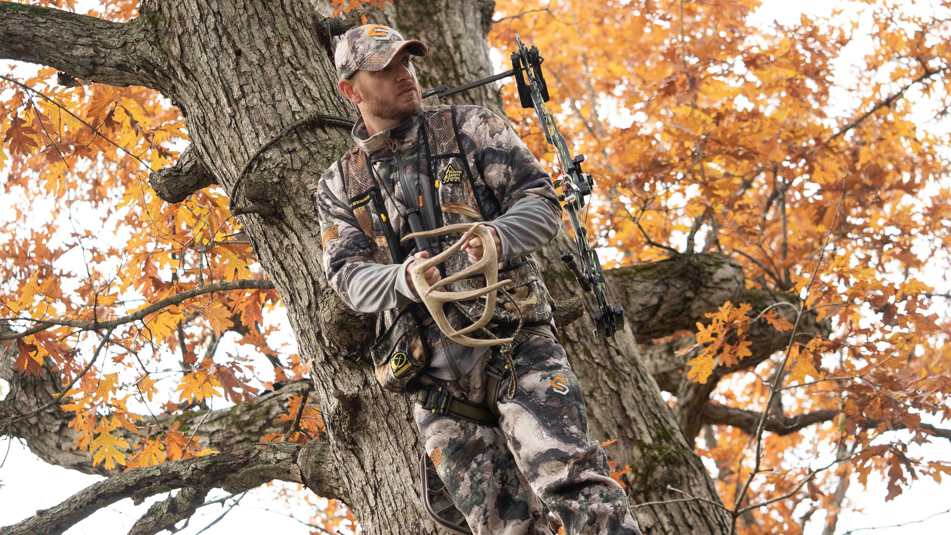 Common Myths About Calling Deer