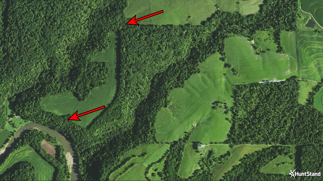 A Solid Plan B for the Rut: How to Make Adjustments on the Fly