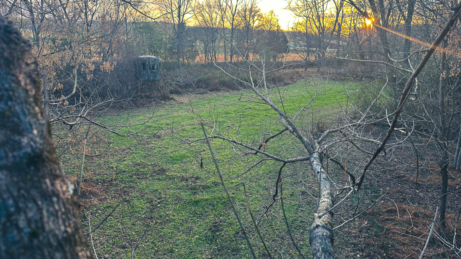 How Many Acres Does It Take to Influence Buck Age Structure?