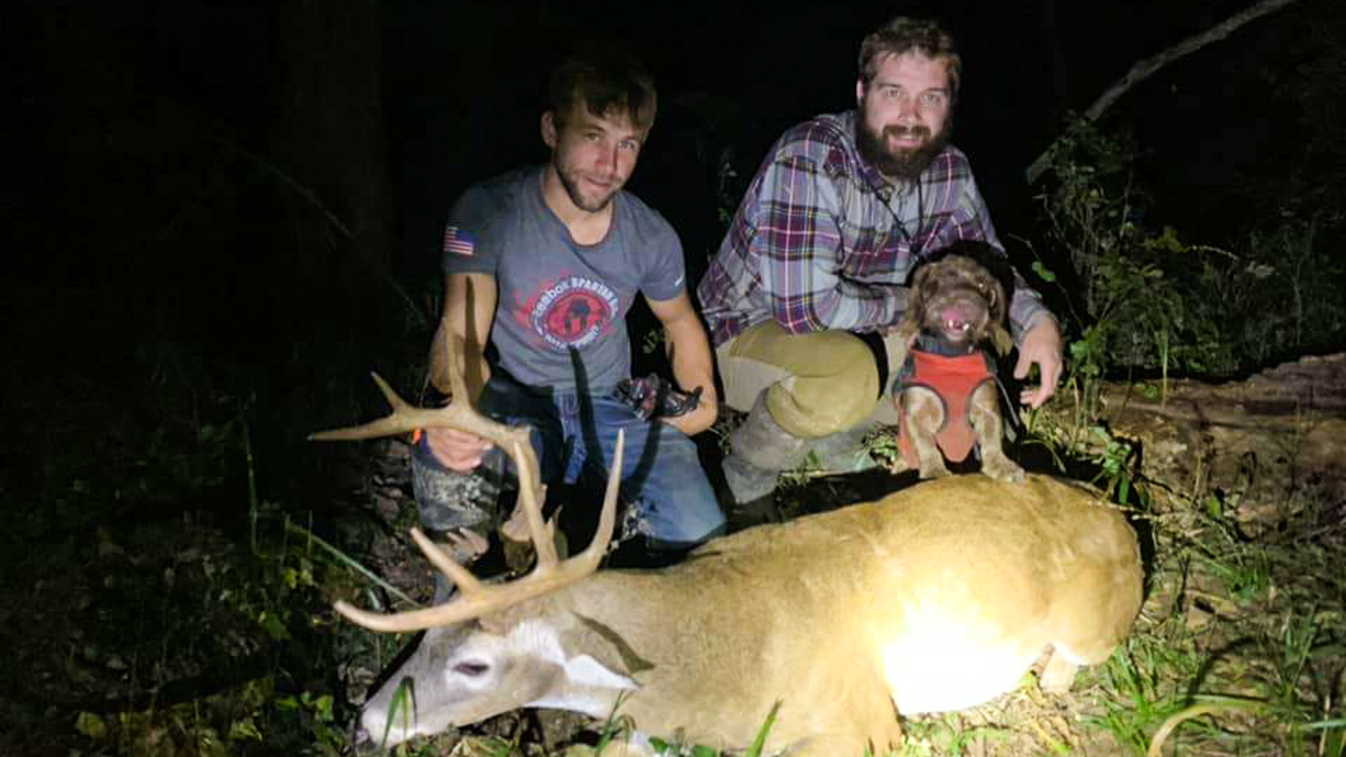 How to Train Your Dog to Recover Deer