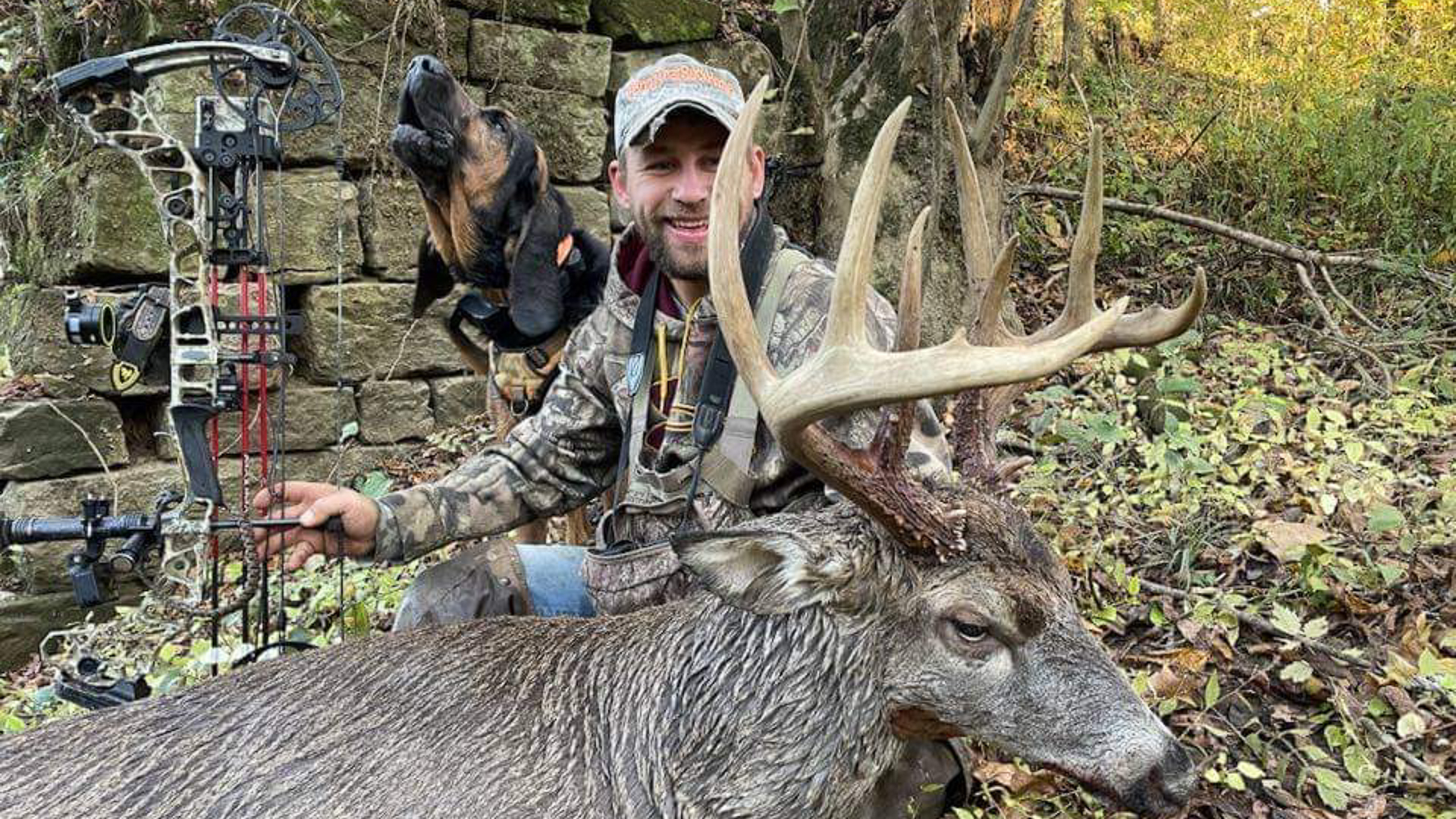 How to Train Your Dog to Recover Deer