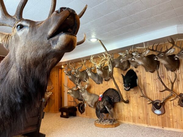 World's Oldest Trophy Room Discovered