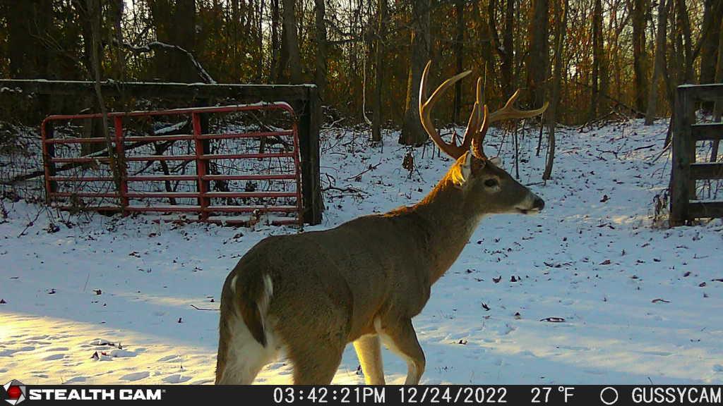 Age This Buck #32 | Bowhunting.com