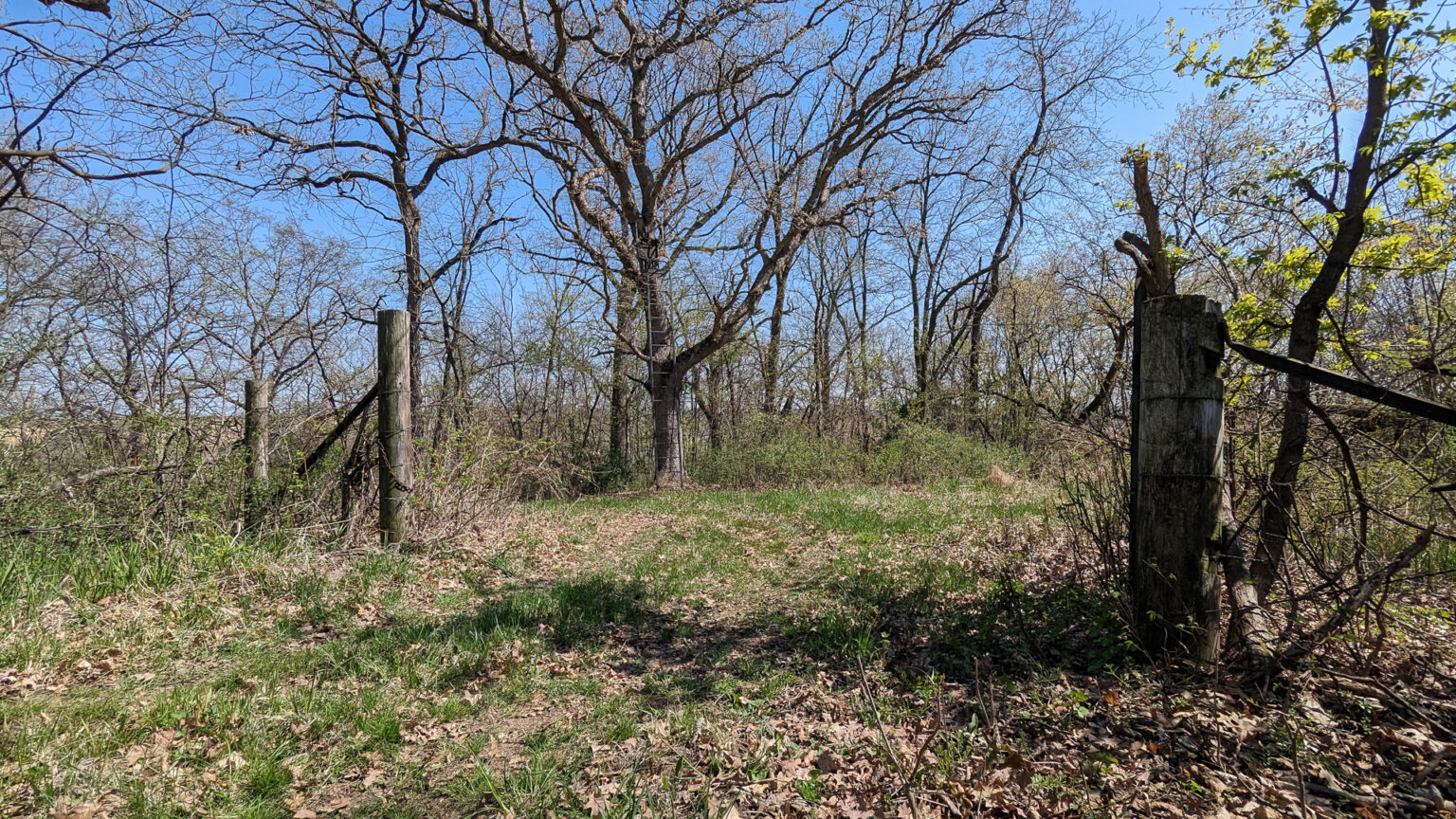 5 Ways to Funnel Deer Past Your Stand