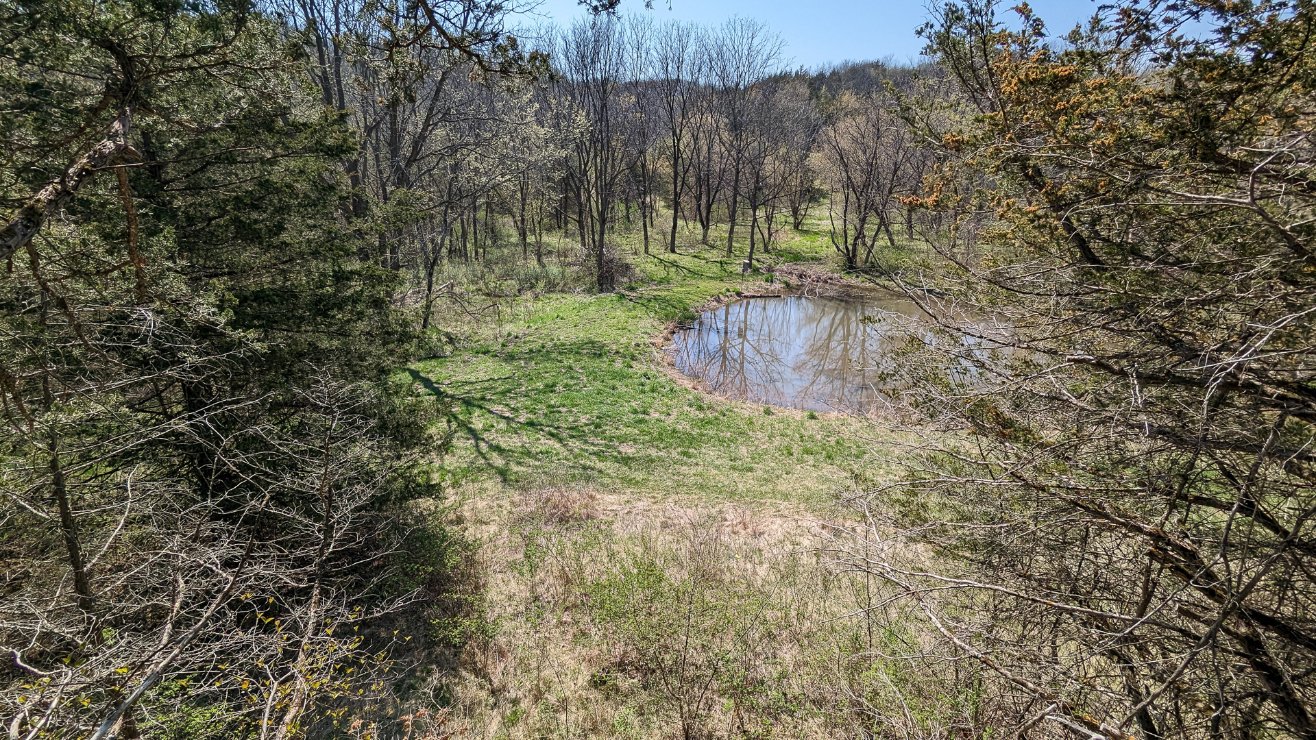 5 Ways to Funnel Deer Past Your Stand