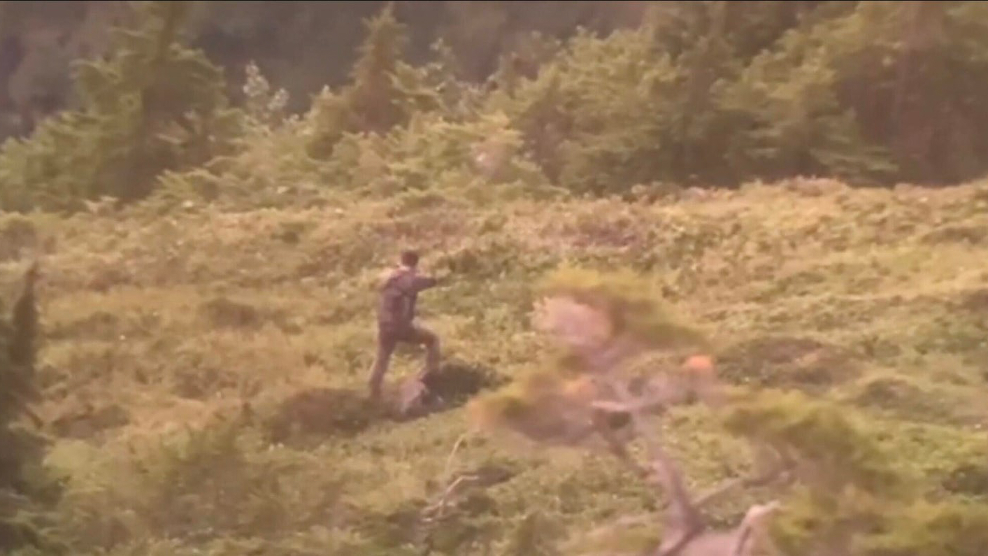 Are Poaching Fines Cheaper Than An Outfitter?