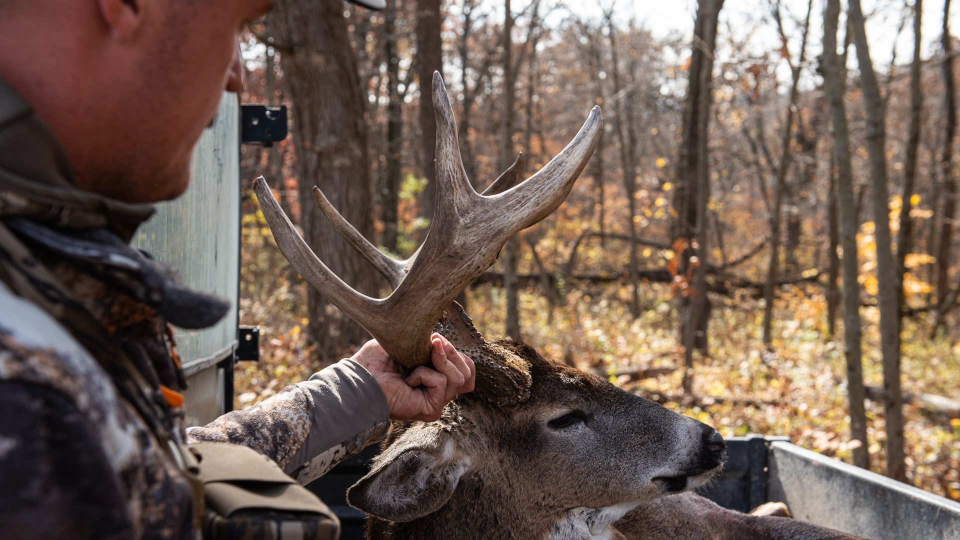 Common Traits of a Successful Rut Hunter