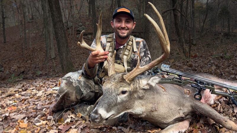 Public Land Deer Hunting Tactics to Try This Season