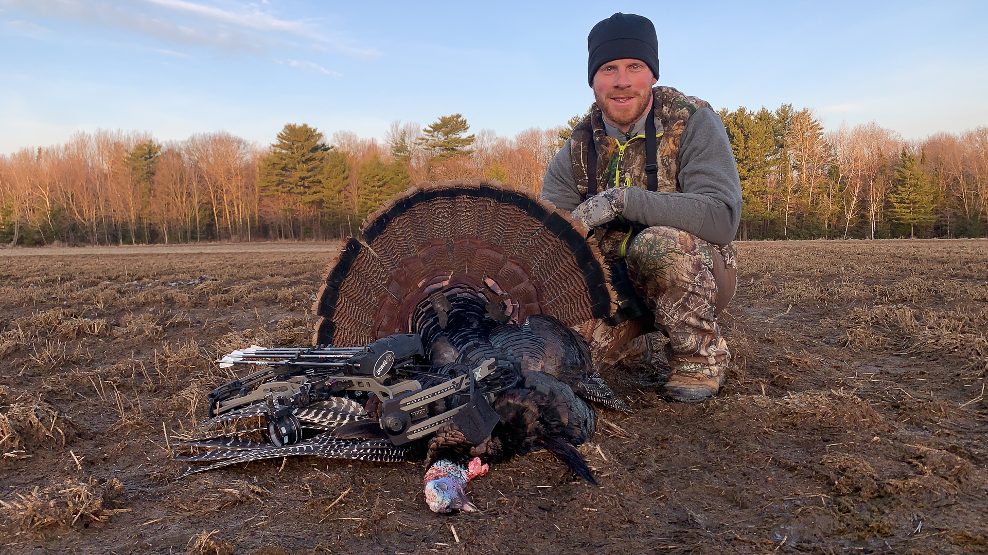 Bowhunting Turkeys: Should You Hunt the Roost Tree?