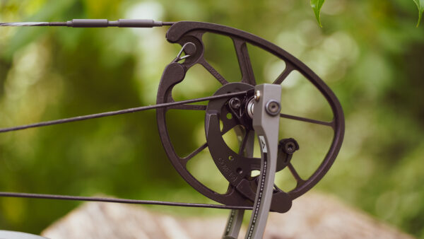 Prime RVX 32 Bow Review