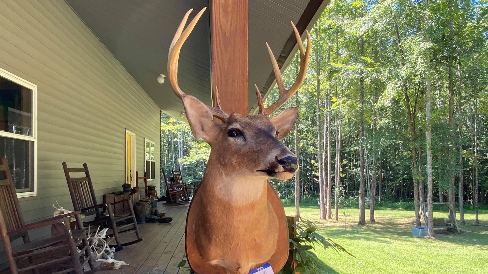 Shoulder Mount or European Mount?