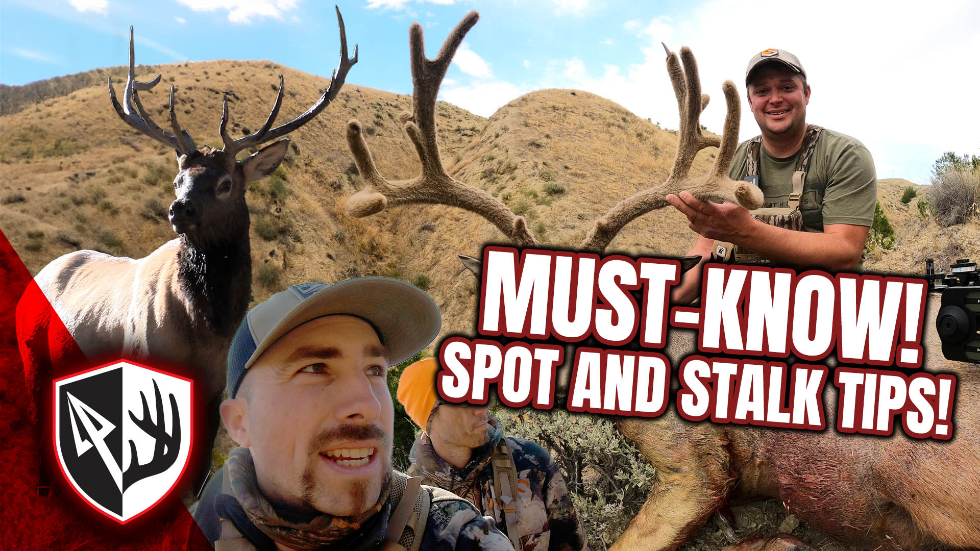 5 Must-Know Spot & Stalk Tips | Bowhunting.com