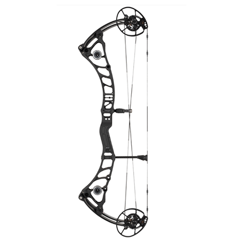 Top New Bows For 2025