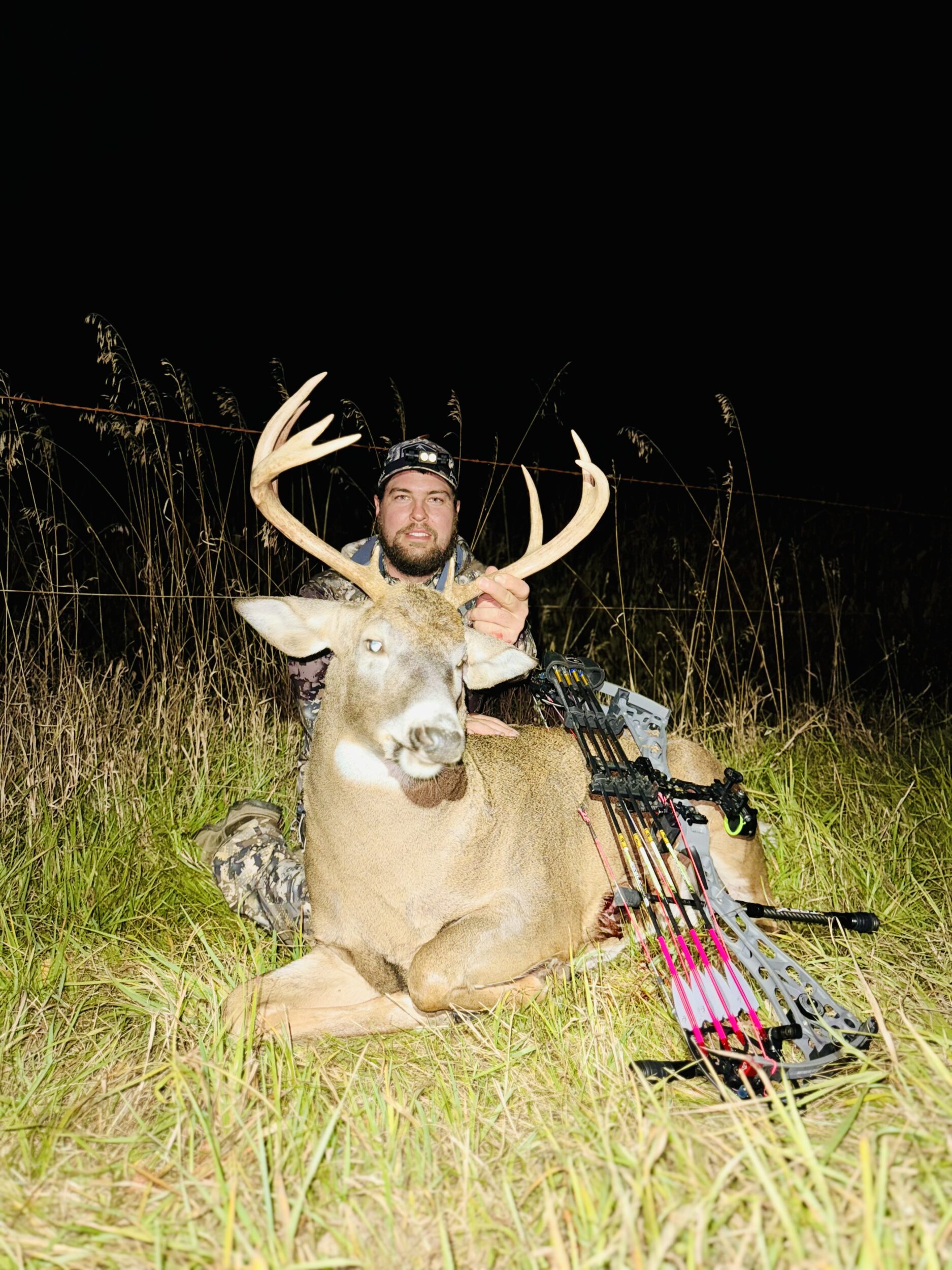 N/A - Whitetail in Polk County, Wisconsin by Dane Desjardin ...