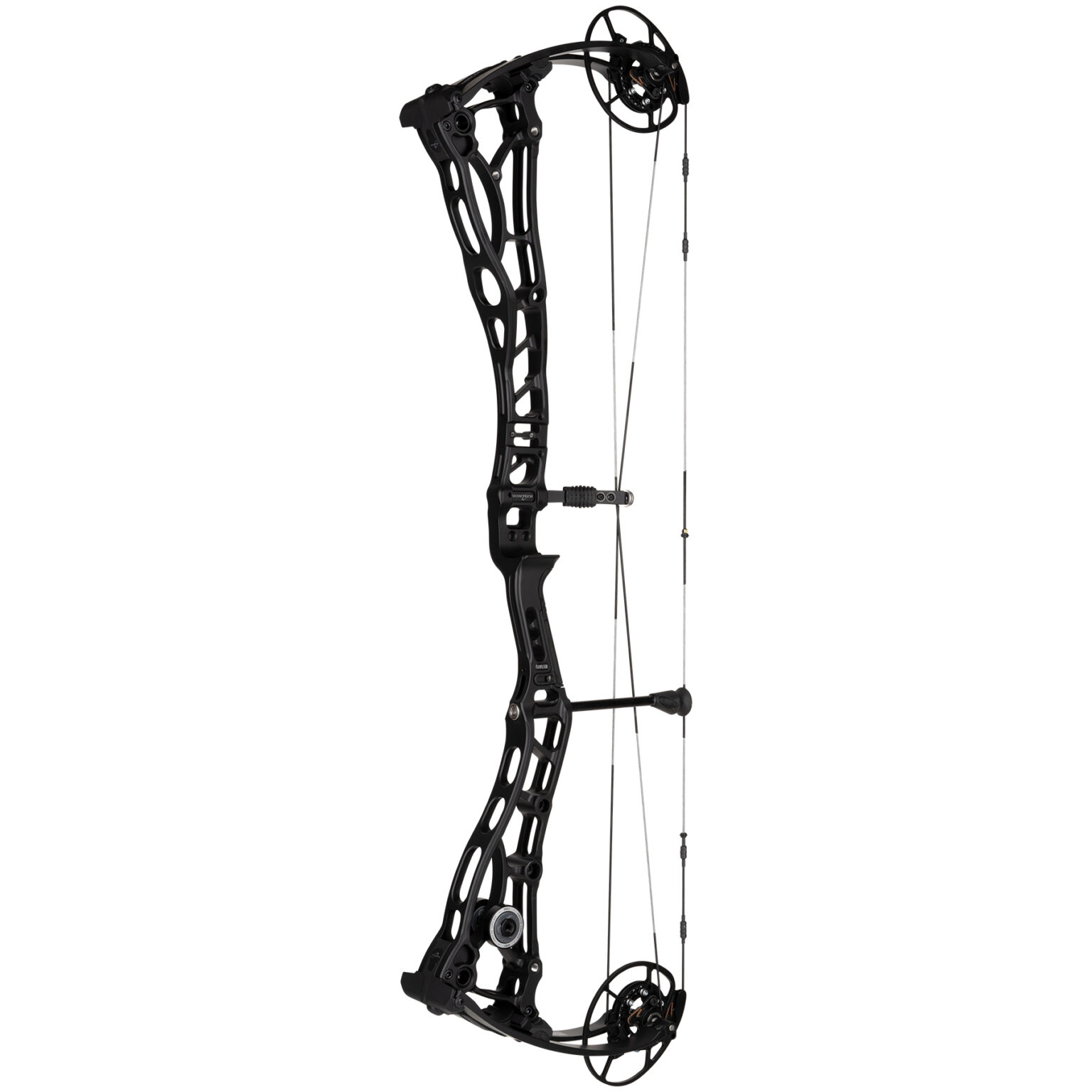 Top New Bows For 2025