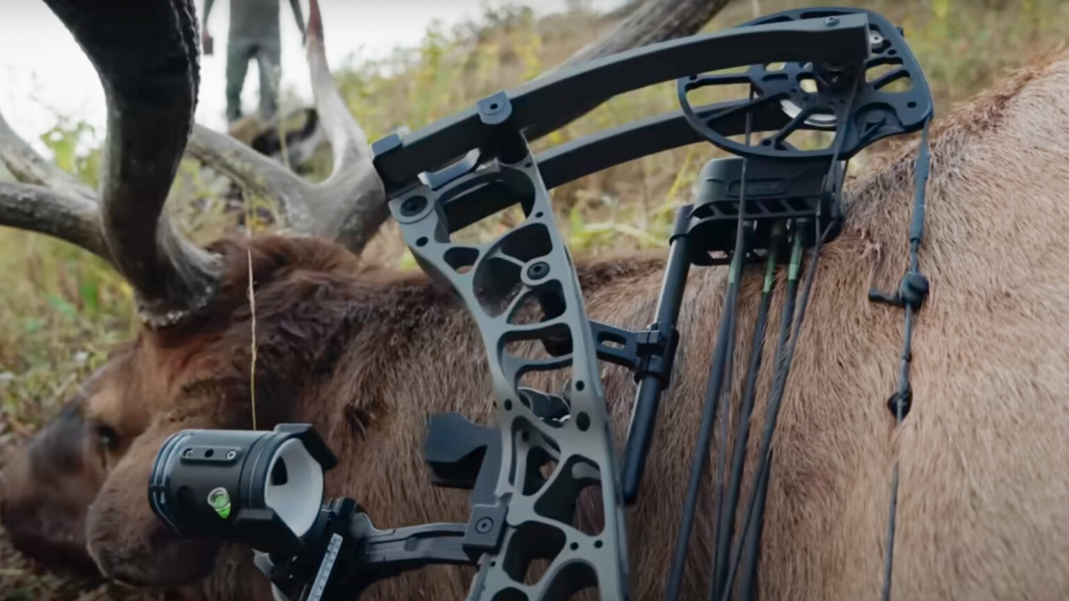 Hoyt Launches 2025 Alpha AX-2 and RX-9