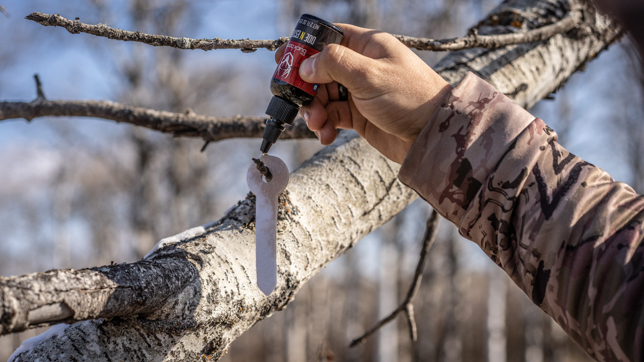 How to Use Scent During the Rut