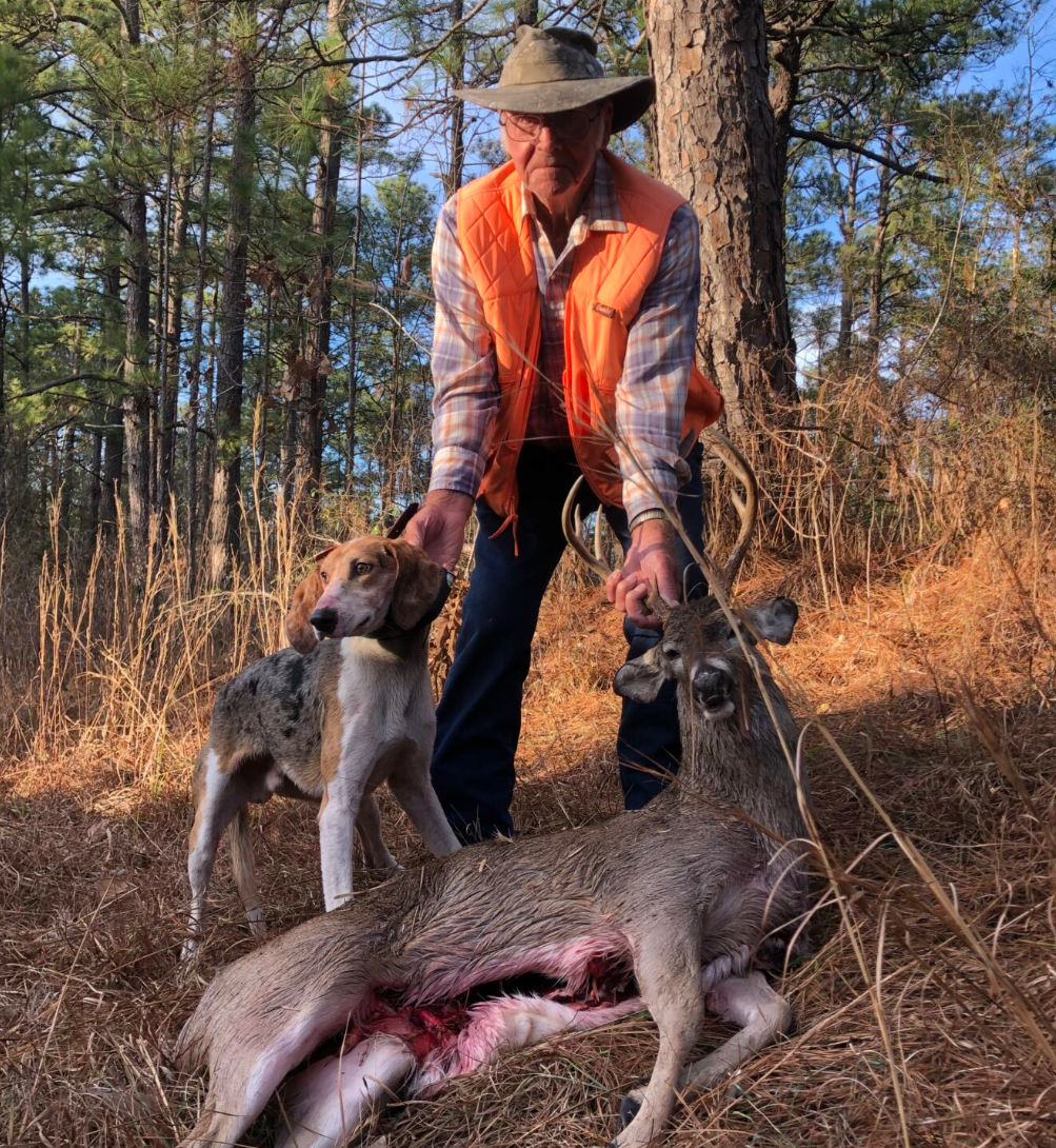 Deer Hunting with Dogs: A Lost Tradition