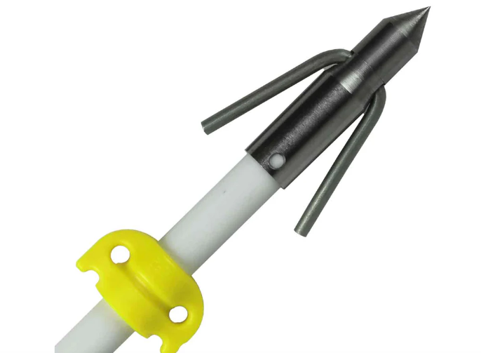 What Gear Do I Need to Get Started Bowfishing?