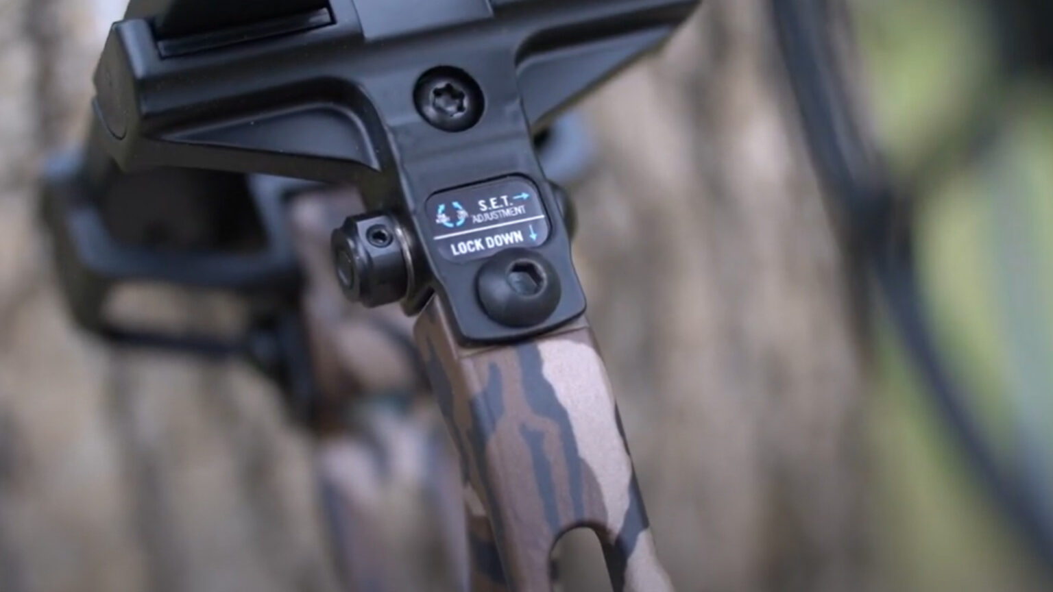 Elite Artus Bow Review