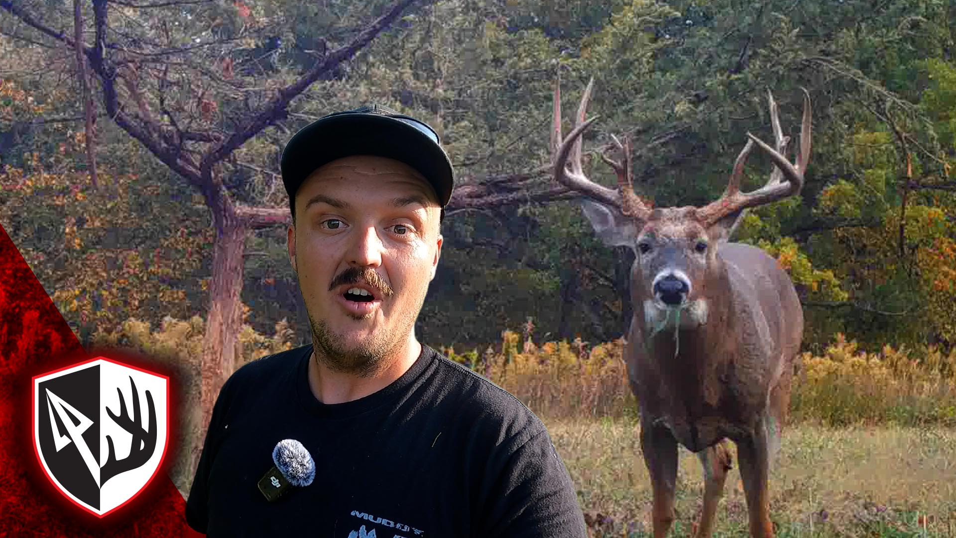 Building A Better Mock Scrape & Rub Tree! | Bowhunting.com