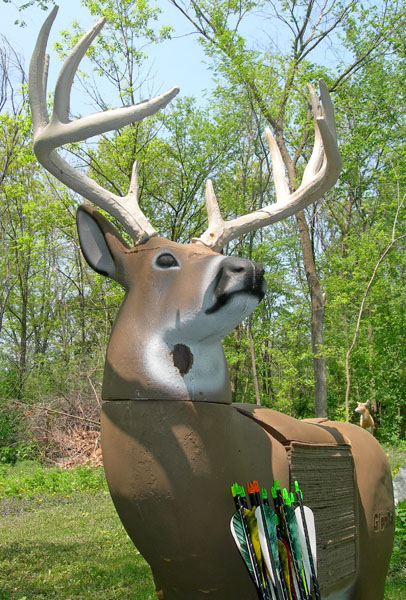 Bowhunters’ 3-D Deer Targets Give Chickadees a Home