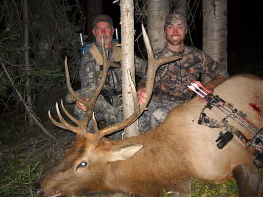 The Alex Hiestand Elk