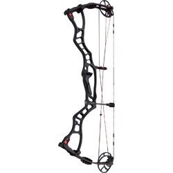 hoyt vector compound bow