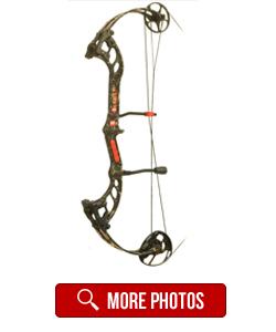 New Bows for 2014