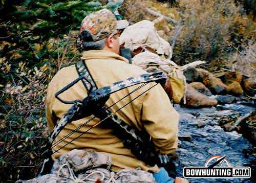 Crossbow vs. Vertical Bow | Bowhunting.com