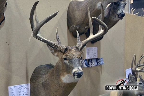 Giant Whitetails of the 2011 Illinois Deer Classic
