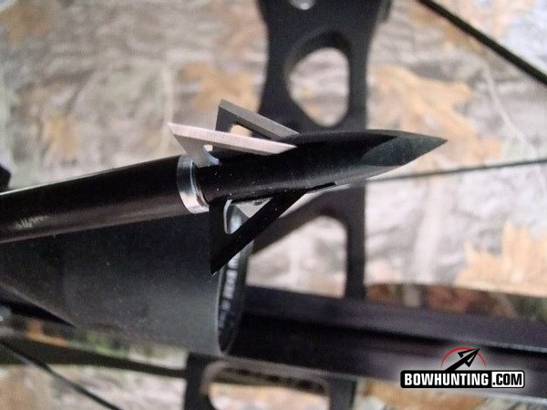 The Crossbow Tramp